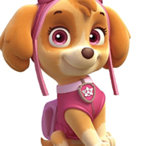 Los Personajes Femeninos Más Populares De Paw Patrol Mariettas